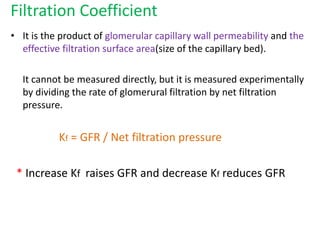 gfr and its regulation.pptx