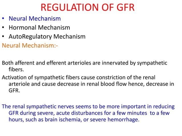 gfr and its regulation.pptx