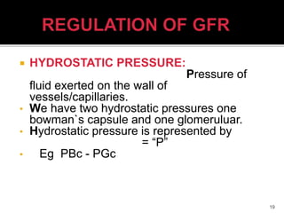 Gfr(glomerulur) filtration rate and its regulation | PPTX