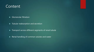 GFR & Tubular functions.pptx