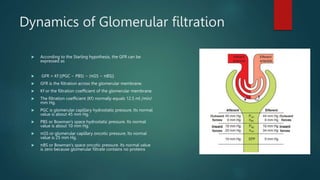 GFR & Tubular functions.pptx