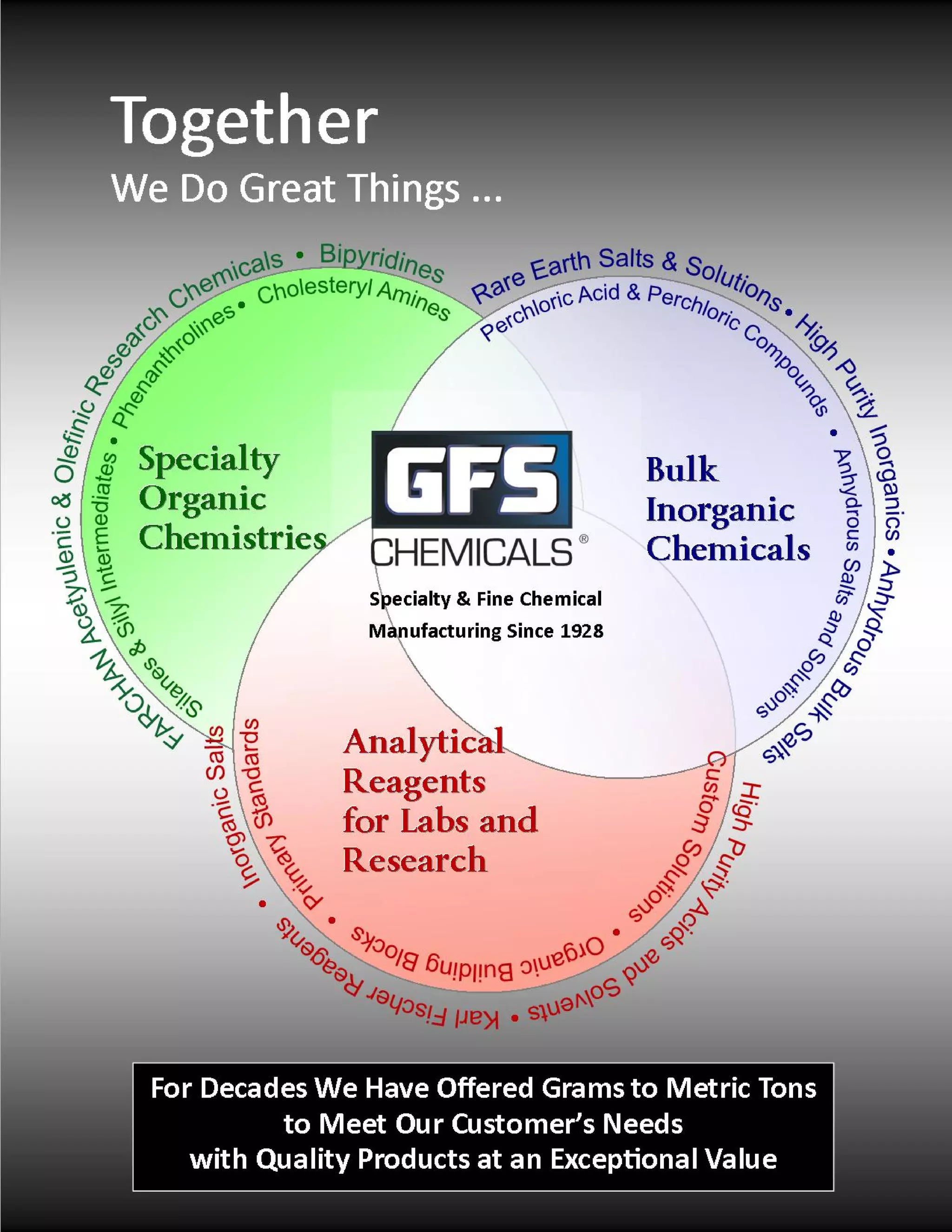 Gfs Core Business | PDF