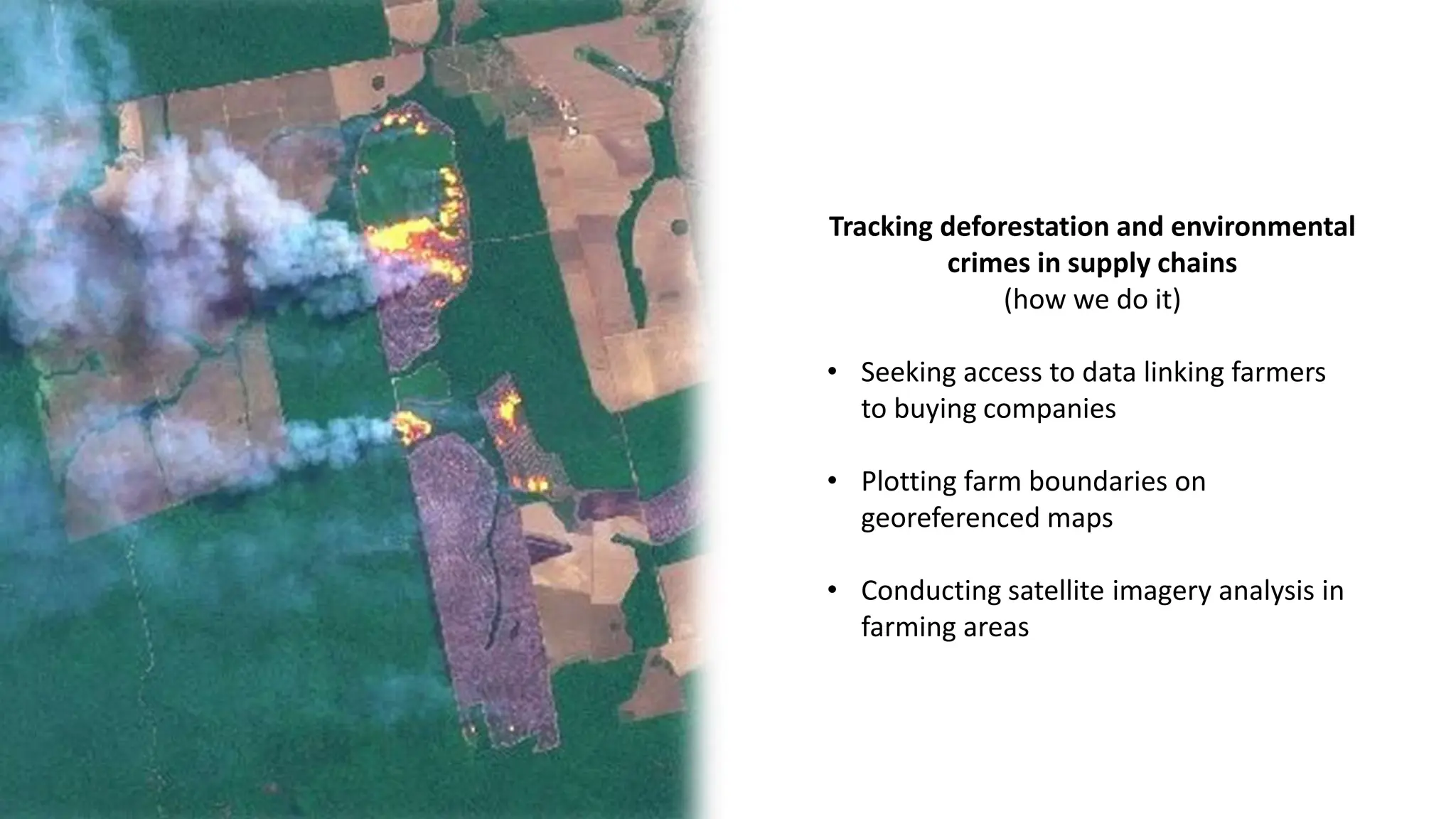 GFW_Deforestation Exposed Using High Resolution Satellite Imagery to ...