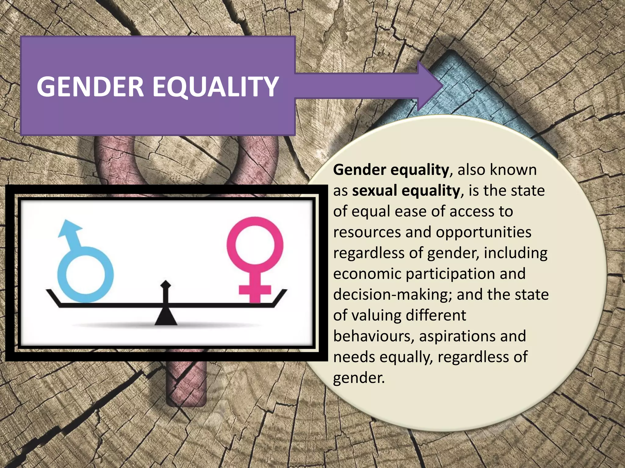 Promotion of gender equality in our society | PDF