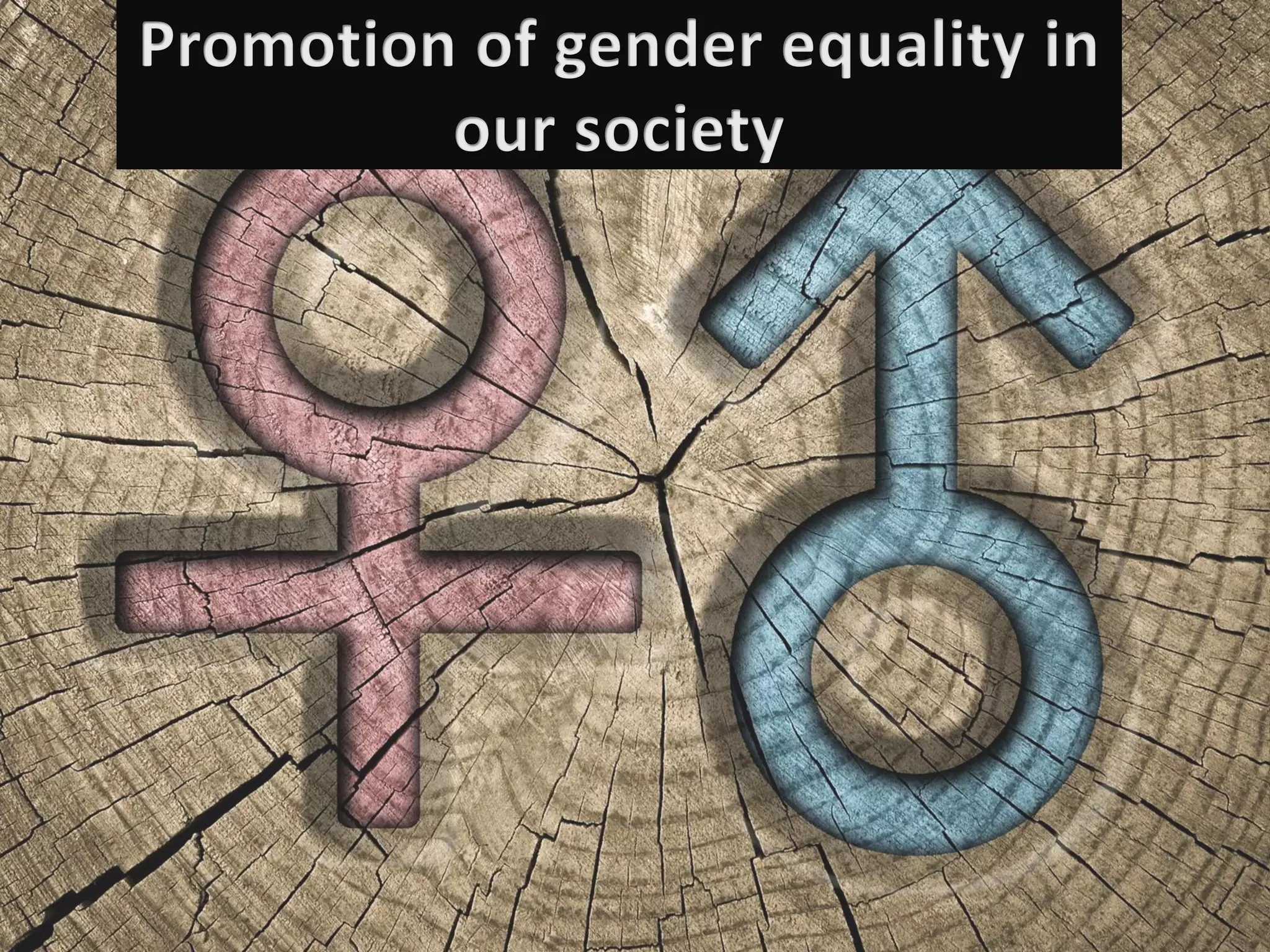 Promotion of gender equality in our society | PPT