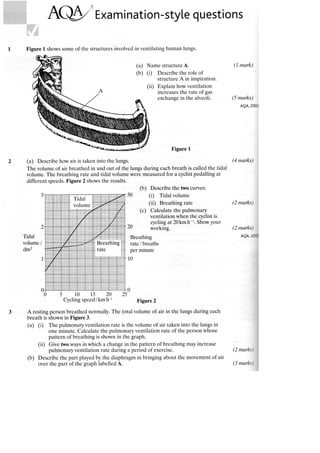 AQA Biology Unit 1 Exam Questions | PDF