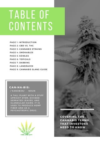 The Beginner's Guide To Cannabis | PDF