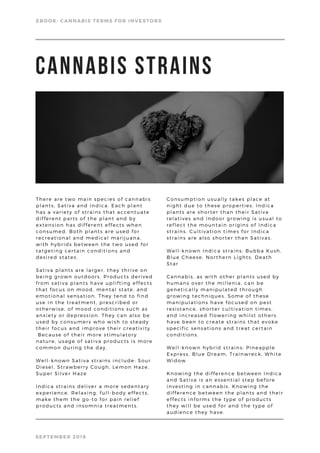 The Beginner's Guide To Cannabis | PDF