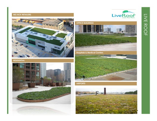 Global Green Environments Book Overview | PDF | Environmental Services Industry | Industries