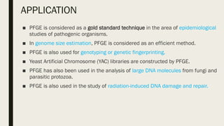 Gradient gel electrophoresis and pulse field gel electrophoresis | PPTX