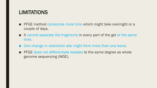 Gradient gel electrophoresis and pulse field gel electrophoresis | PPTX