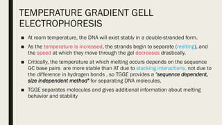 Gradient gel electrophoresis and pulse field gel electrophoresis | PPTX