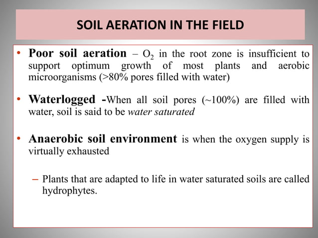 SOIL AIR AND TEMPERATURE | PPTX | Gardening | Home & Garden