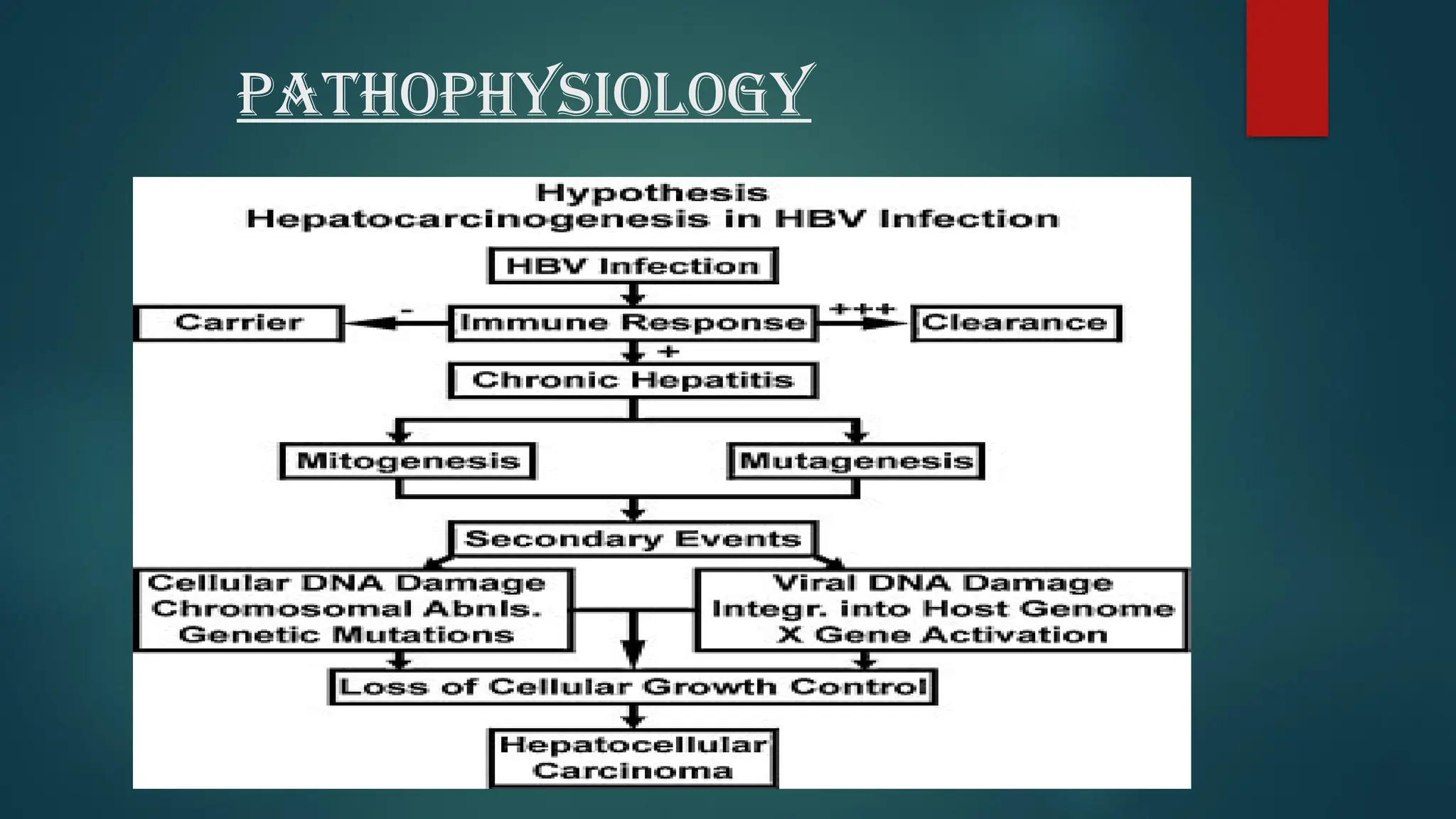 CASE study on chronic viral hepatitis .pptx