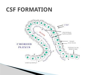 Blood brain barrier and csf dynamics | PPTX