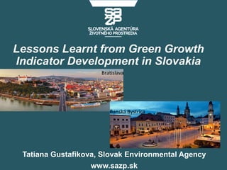 Lessons Learnt from Green Growth Indicator Development in Slovakia | PDF