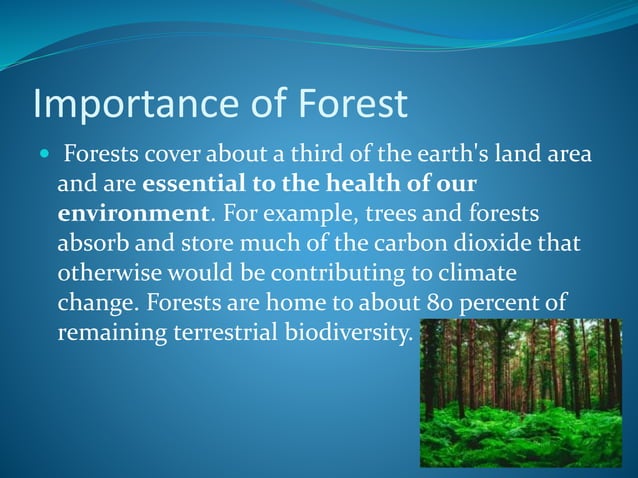 GGLOBAL DISTRIBUTION OF FORESTS.pptx
