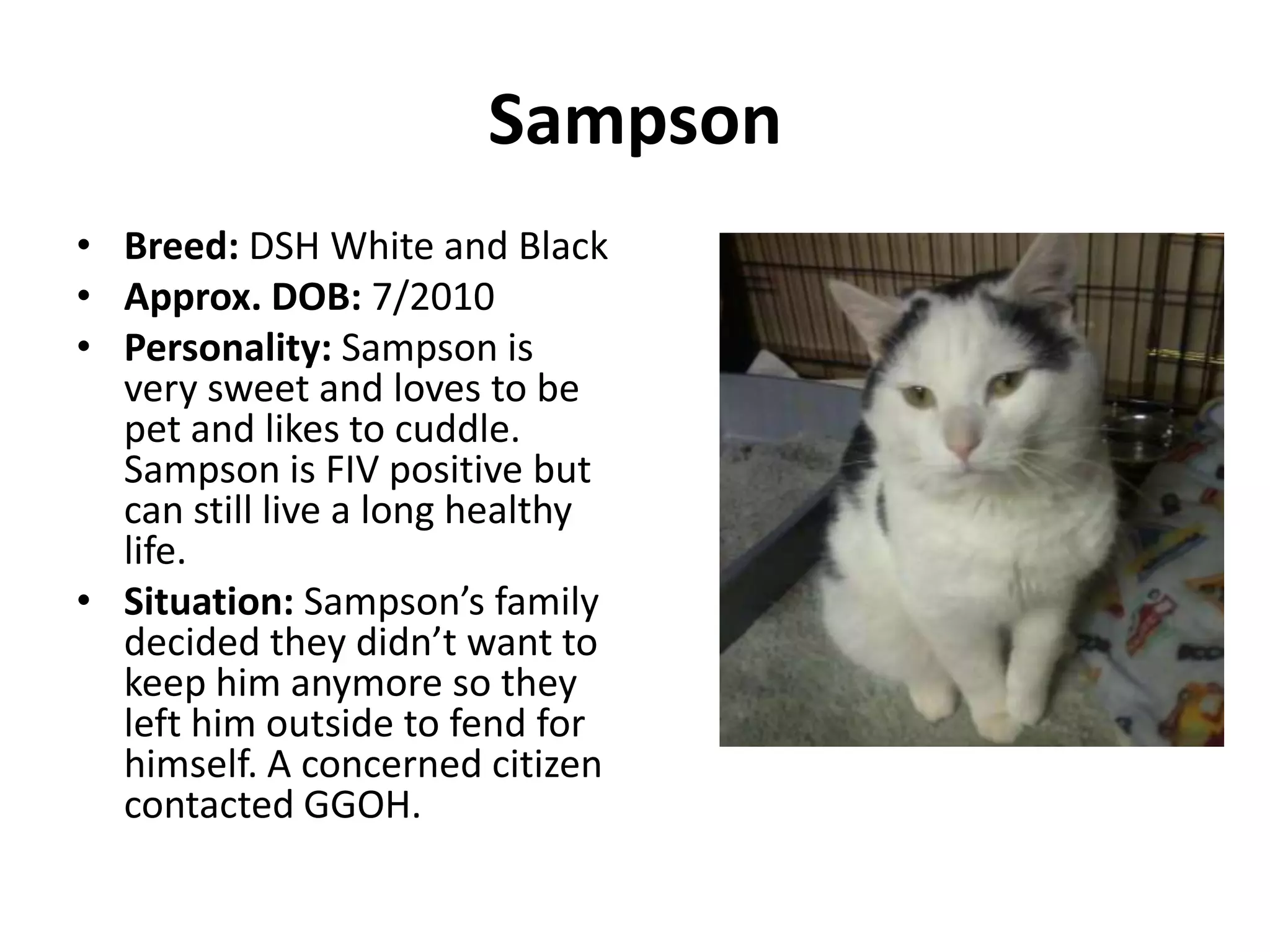 Gregory's Gift of Hope - CATS | PPT