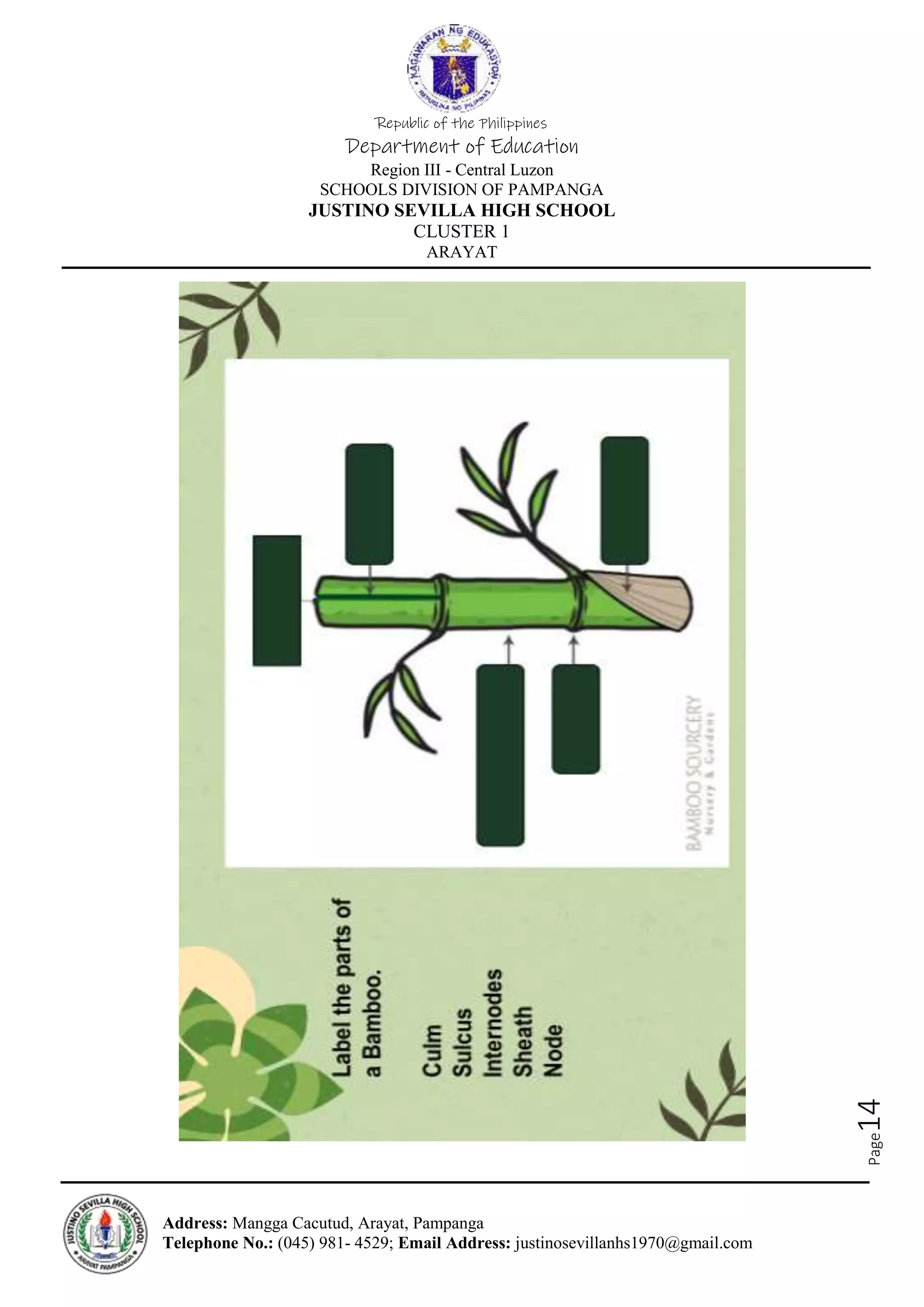 GGONZALES-EXEMPLAR-COT1.docx