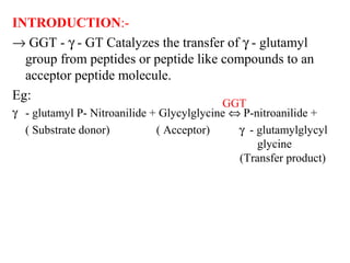 GGT | PPT
