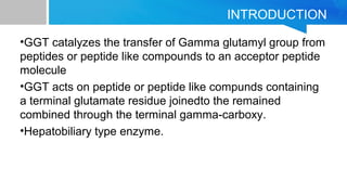 gamma GT | PPT