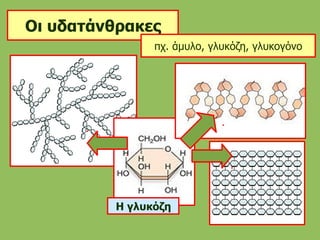 Η χημεια της ζωής | PPT | Free Download