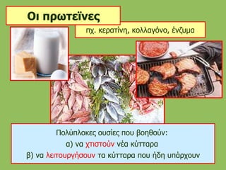 Η χημεια της ζωής | PPT | Free Download
