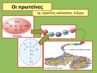 Η χημεια της ζωής | PPT | Free Download