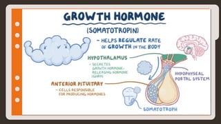Growth Hormone | PPTX
