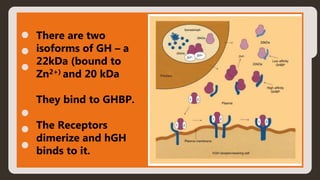 Growth Hormone | PPT