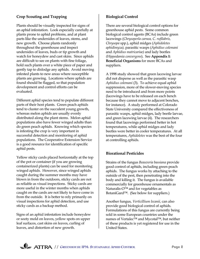 Greenhouse IPM: Sustainable Aphid Control | PDF