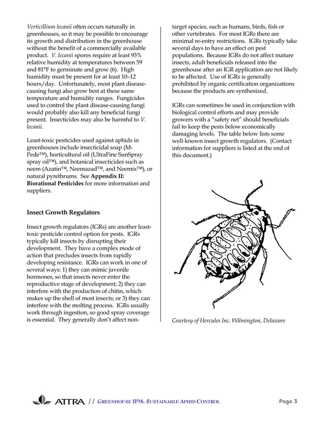Greenhouse IPM: Sustainable Aphid Control | PDF