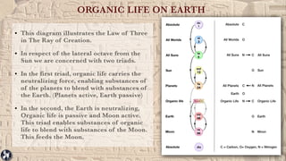 Gurdjieff's Hydrogens Seminar #5: The Side Octave From The Suns and ...