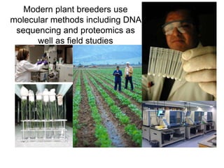 Current trends in plant breeding | PPTX