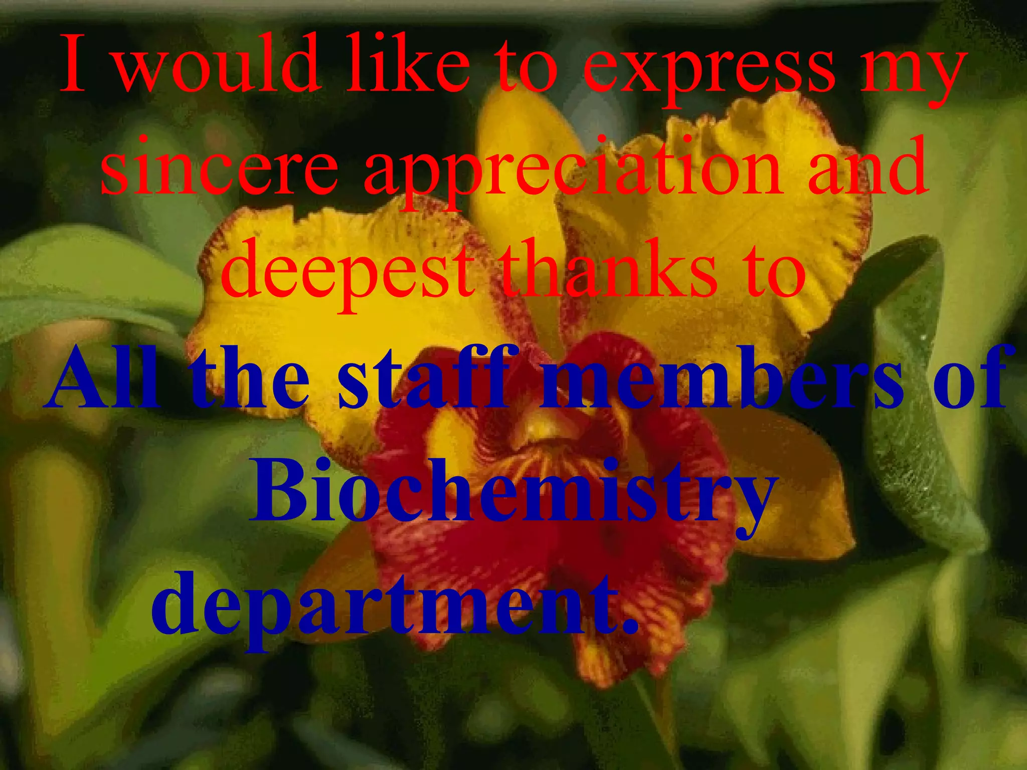 Ghandor presentaion without photos | PPT