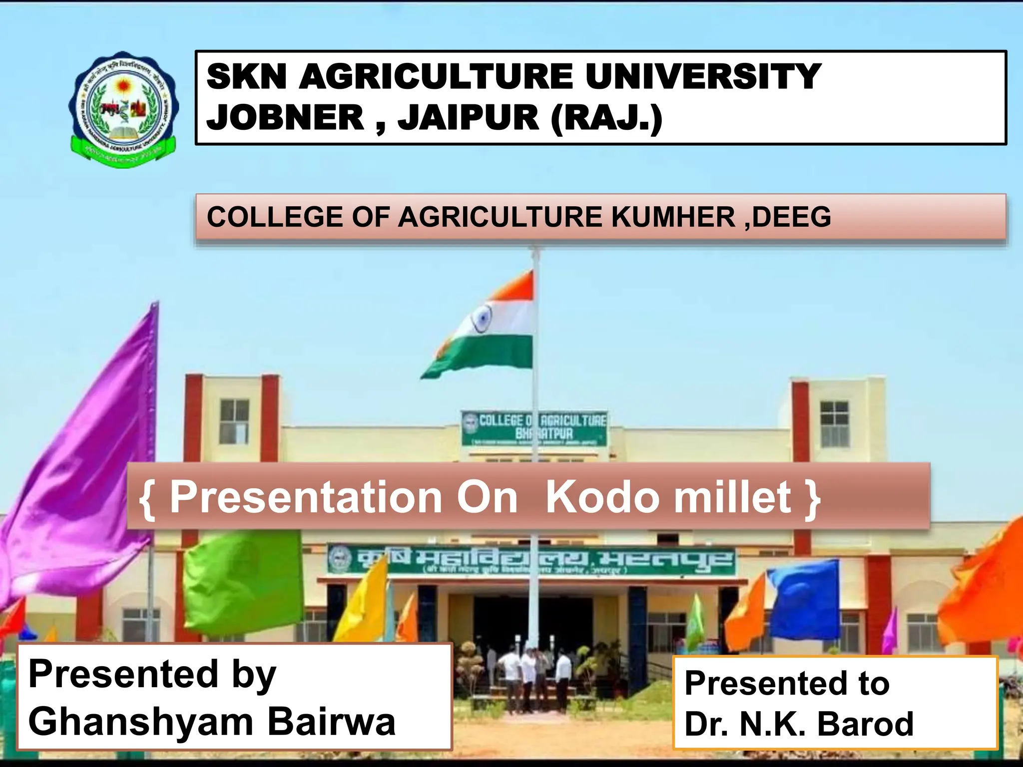 Kodo Millet PPT made by Ghanshyam bairwa college of Agriculture kumher ...