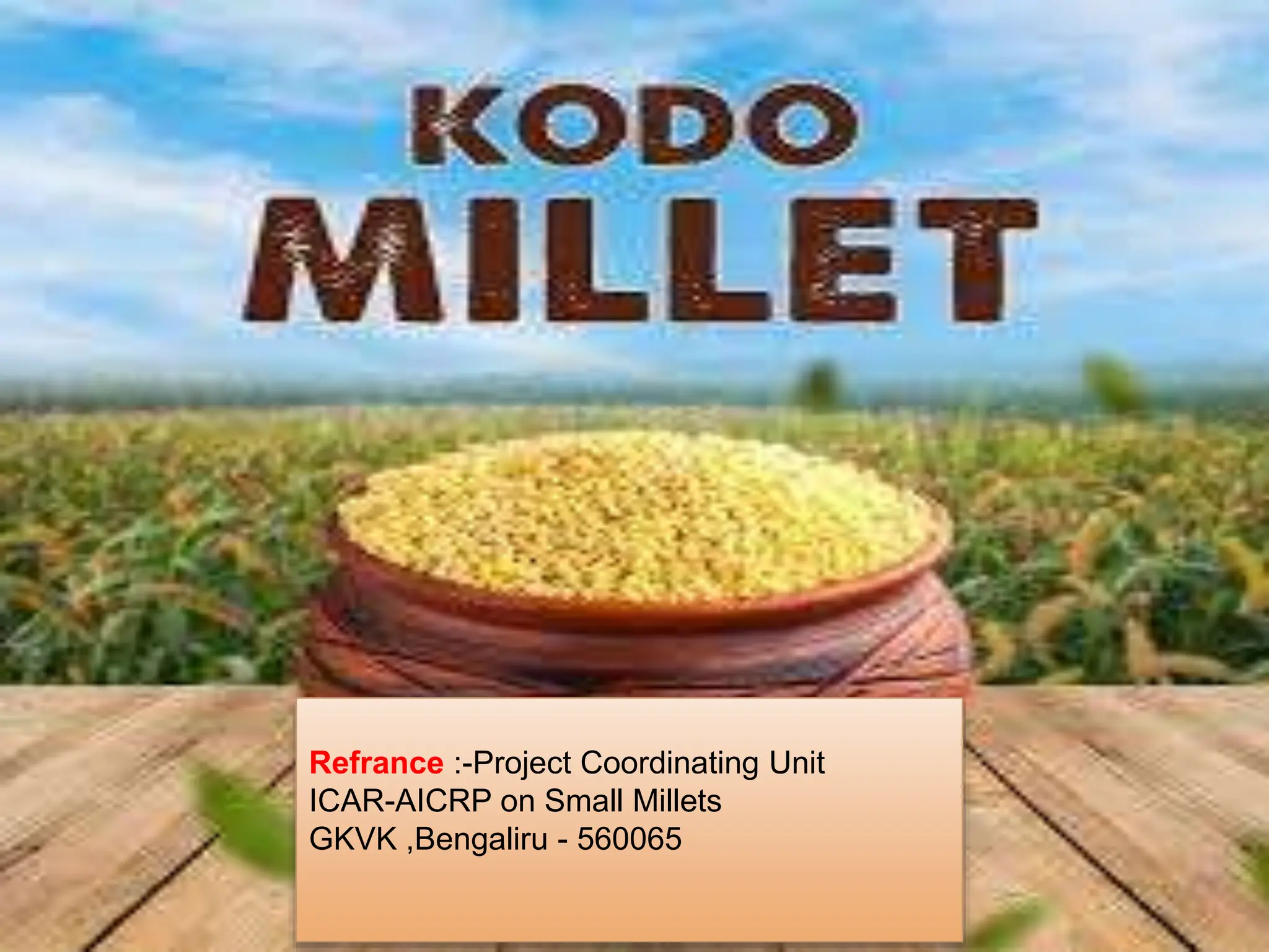 Kodo Millet PPT made by Ghanshyam bairwa college of Agriculture kumher ...