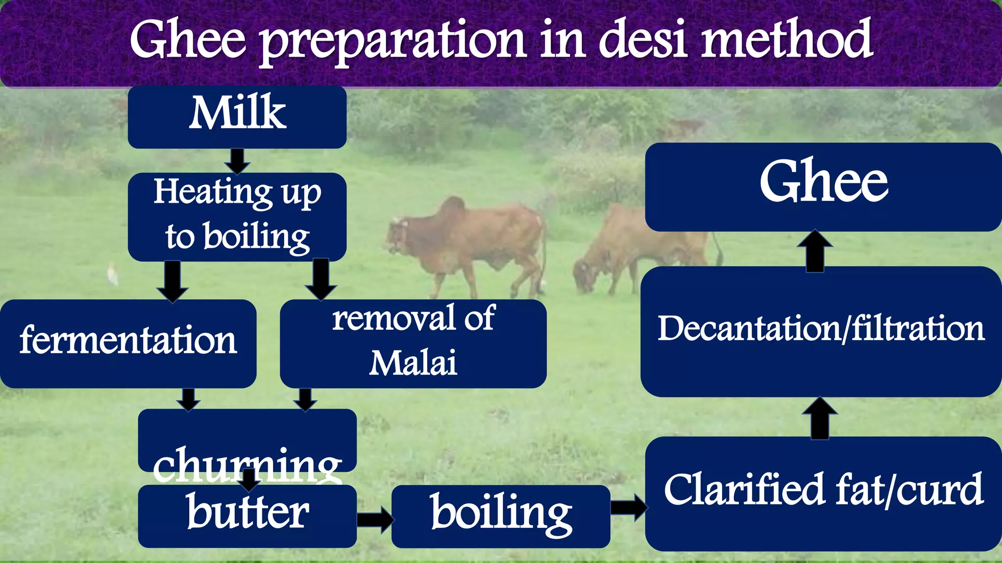 Ghee | PPTX