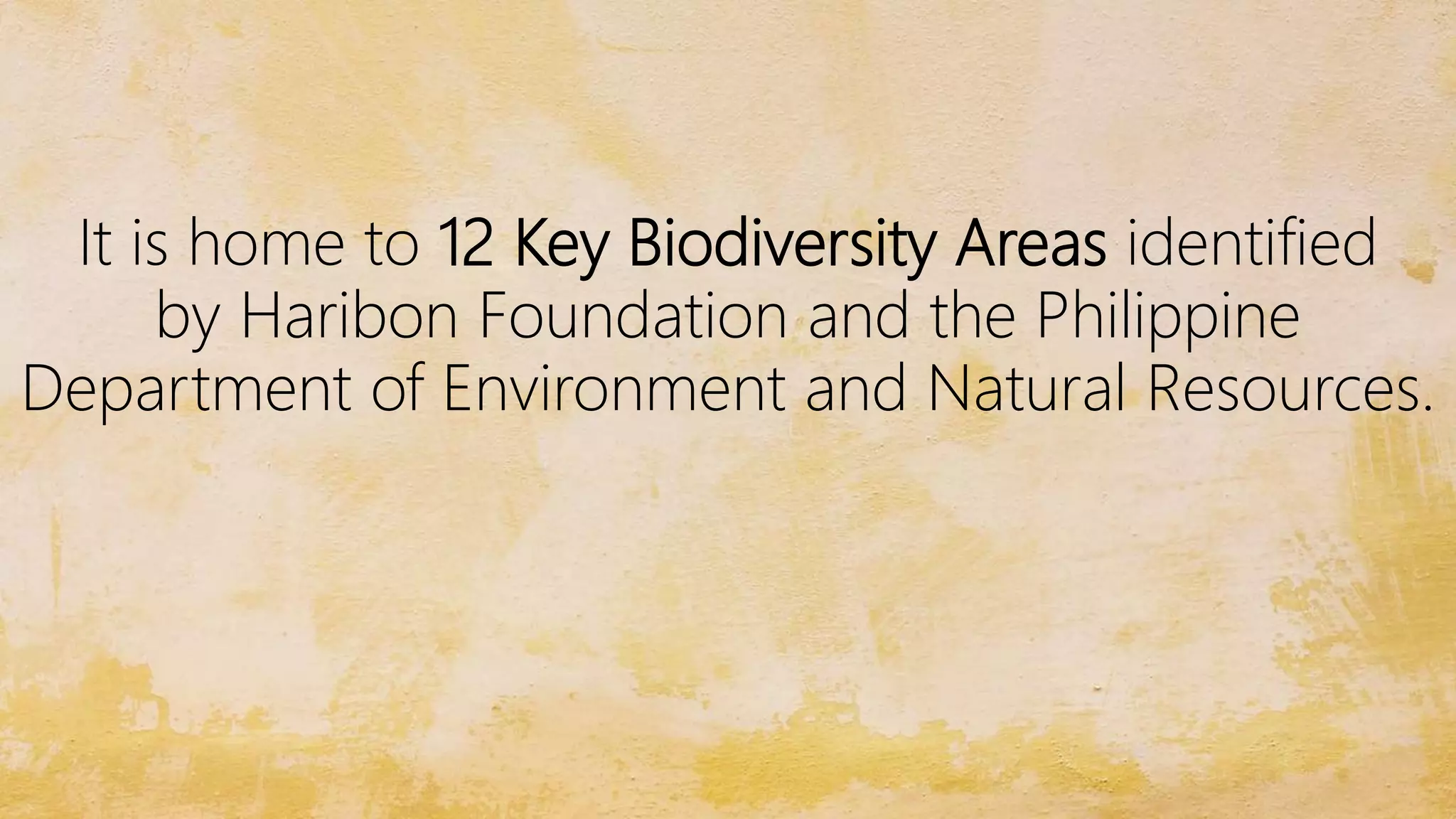 REGION 13: CARAGA REGION | PPTX
