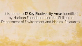 REGION 13: CARAGA REGION | PPTX