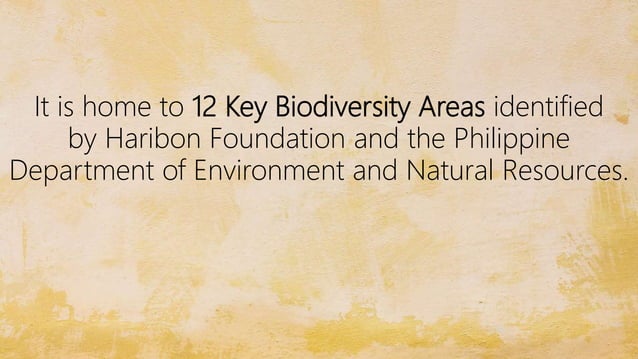REGION 13: CARAGA REGION | PPTX