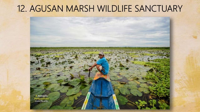 REGION 13: CARAGA REGION | PPTX