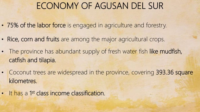 REGION 13: CARAGA REGION | PPTX