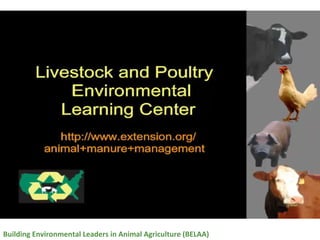 Greenhouse Gases and Animal Agriculture | PPT