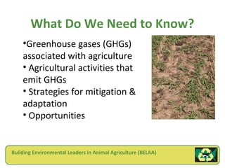 Greenhouse Gases and Animal Agriculture | PPT