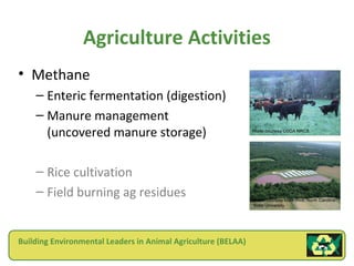 Greenhouse Gases and Animal Agriculture | PPT