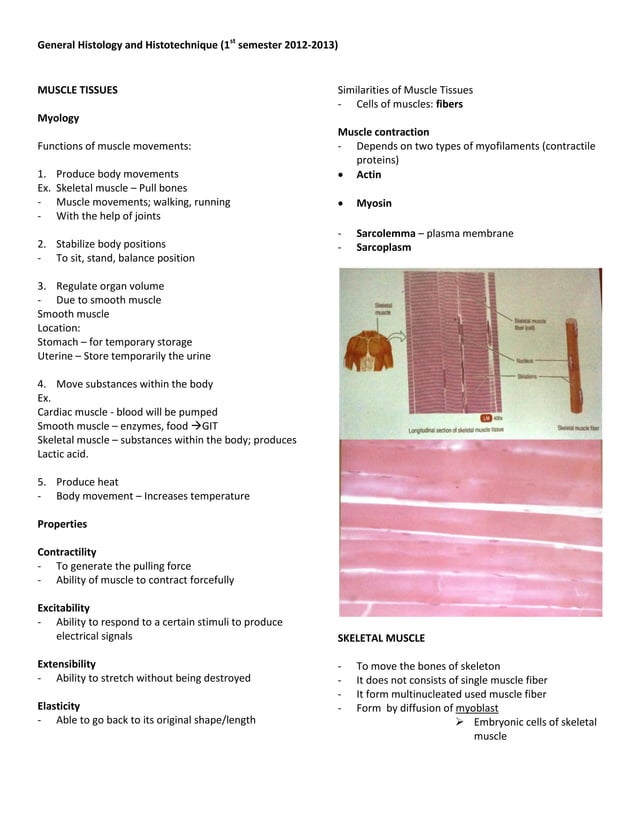 GHH Muscle Tissues | PDF | Computer Peripherals | Computing
