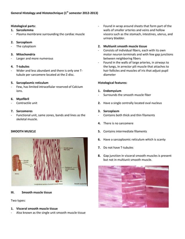 GHH Muscle Tissues | PDF | Computer Peripherals | Computing
