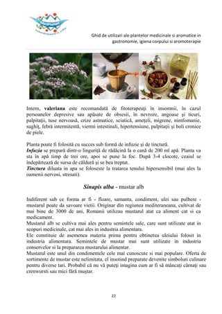 Ghid utilizari ale plantelor aromatice si medicinale | PDF