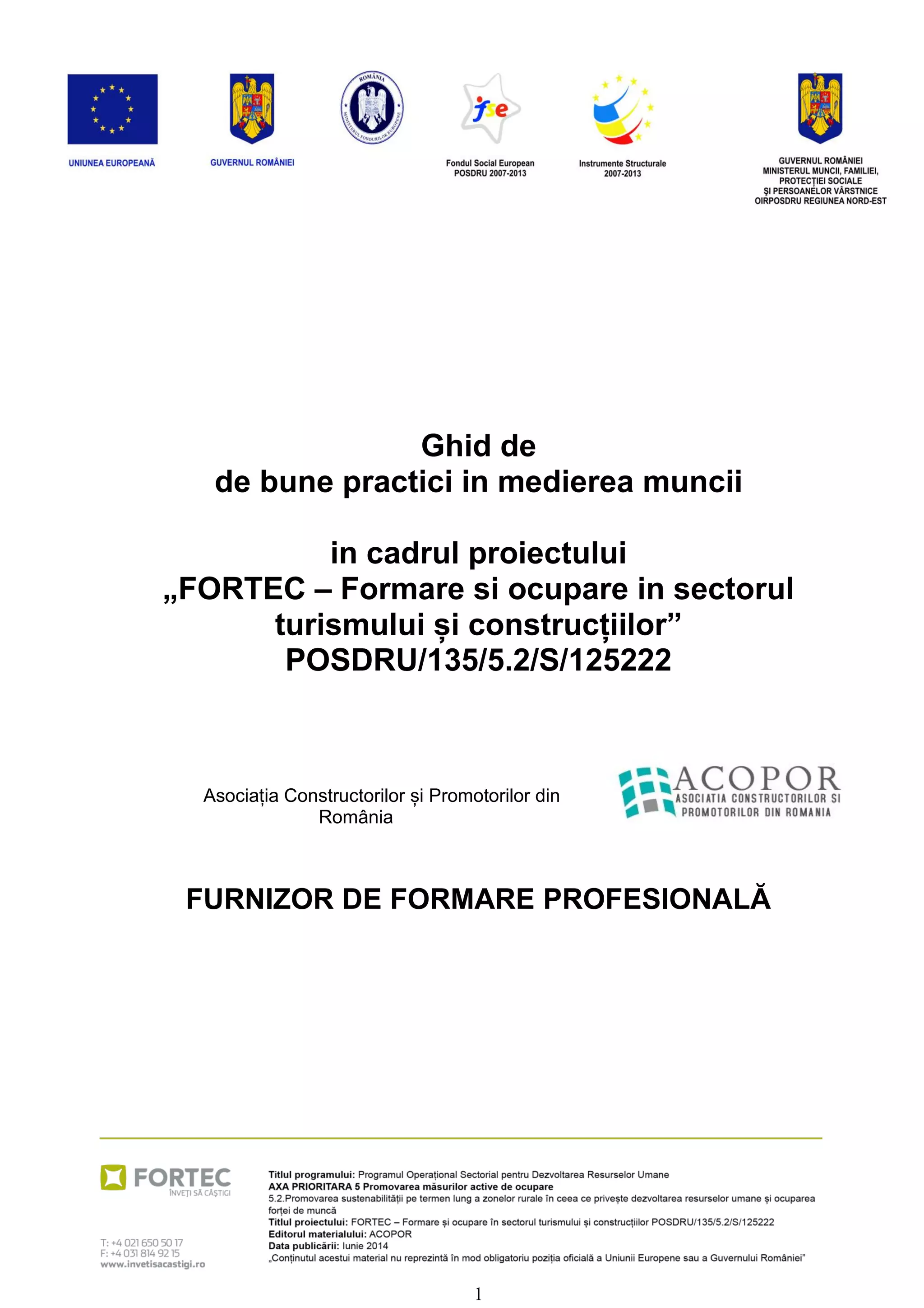 Ghid de-bune-practici-in-medierea-muncii | PDF